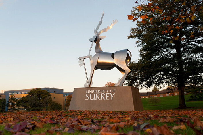 University of Surrey | Chevening
