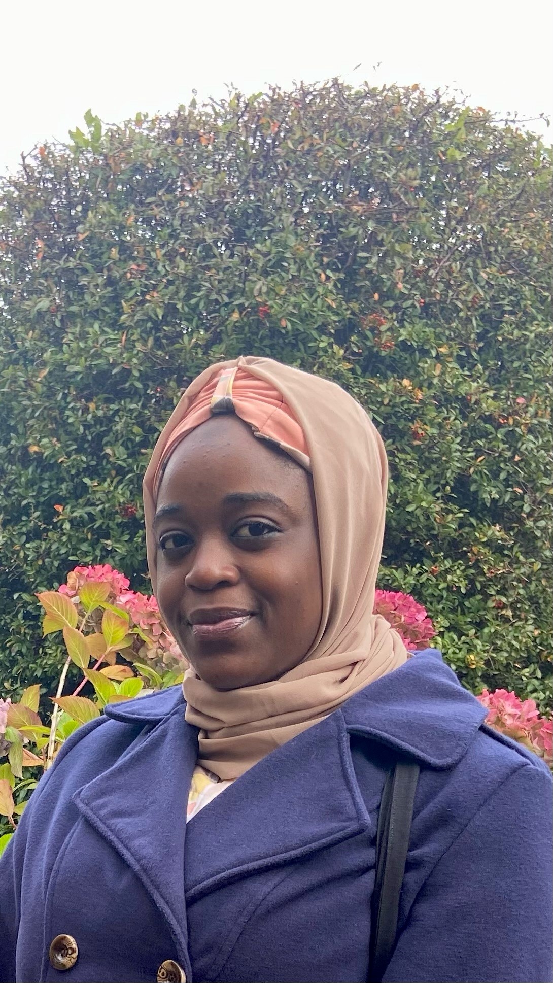 Social media ambassadors | Chevening